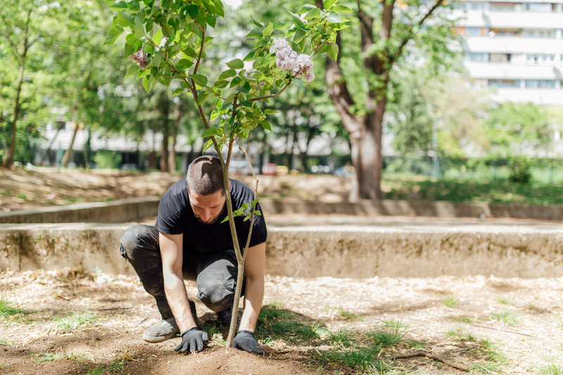 Give Trees in Honor or Memorial | A Lasting and Meaningful Gift